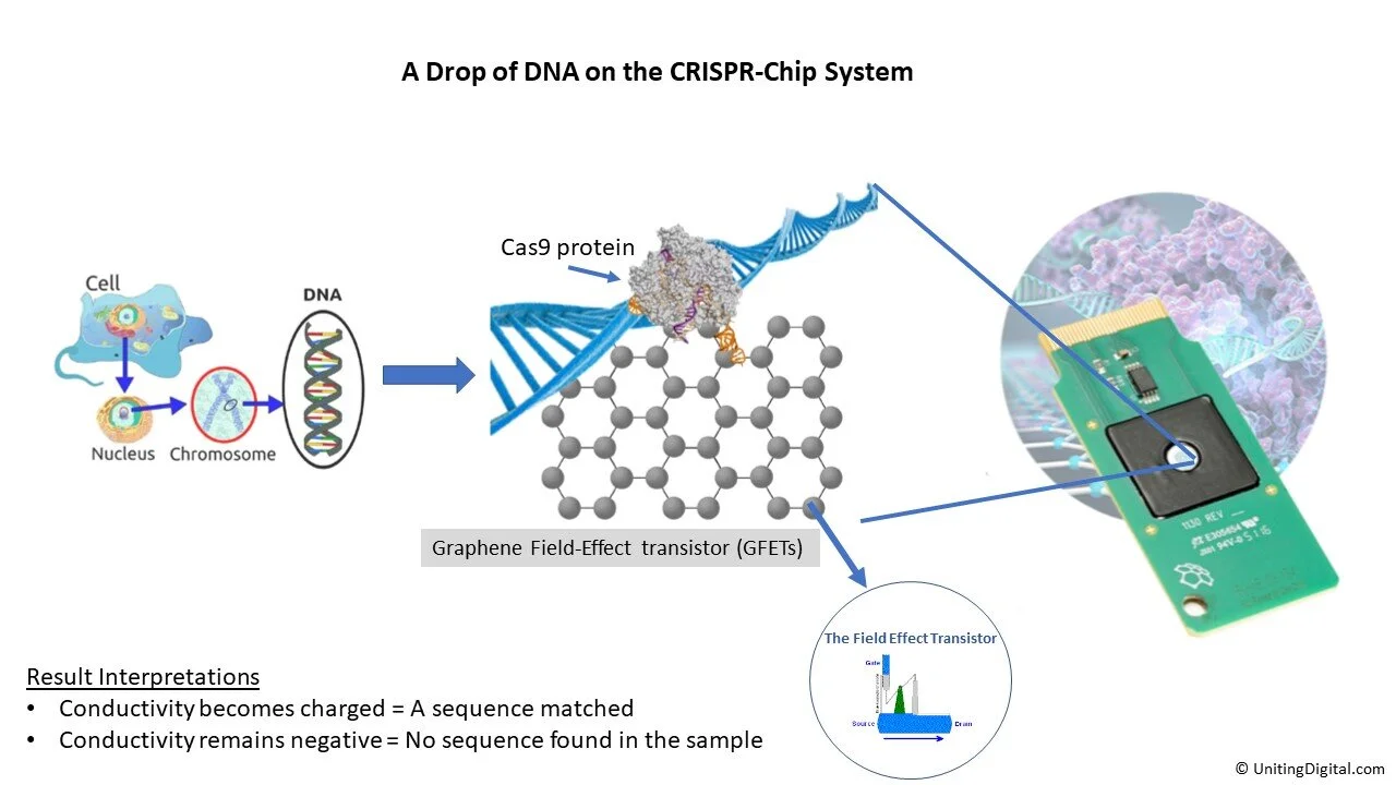 Let's Google Our DNA on a Chip — Uniting Digital