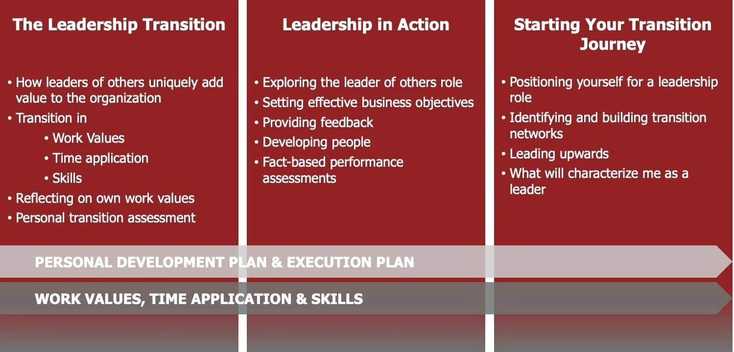 Emerging Leader Development Program for Organizations | LPI ...