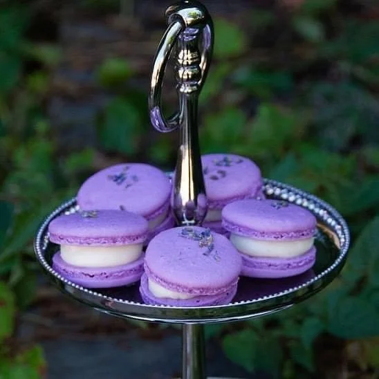 Annie's Signature Sweets