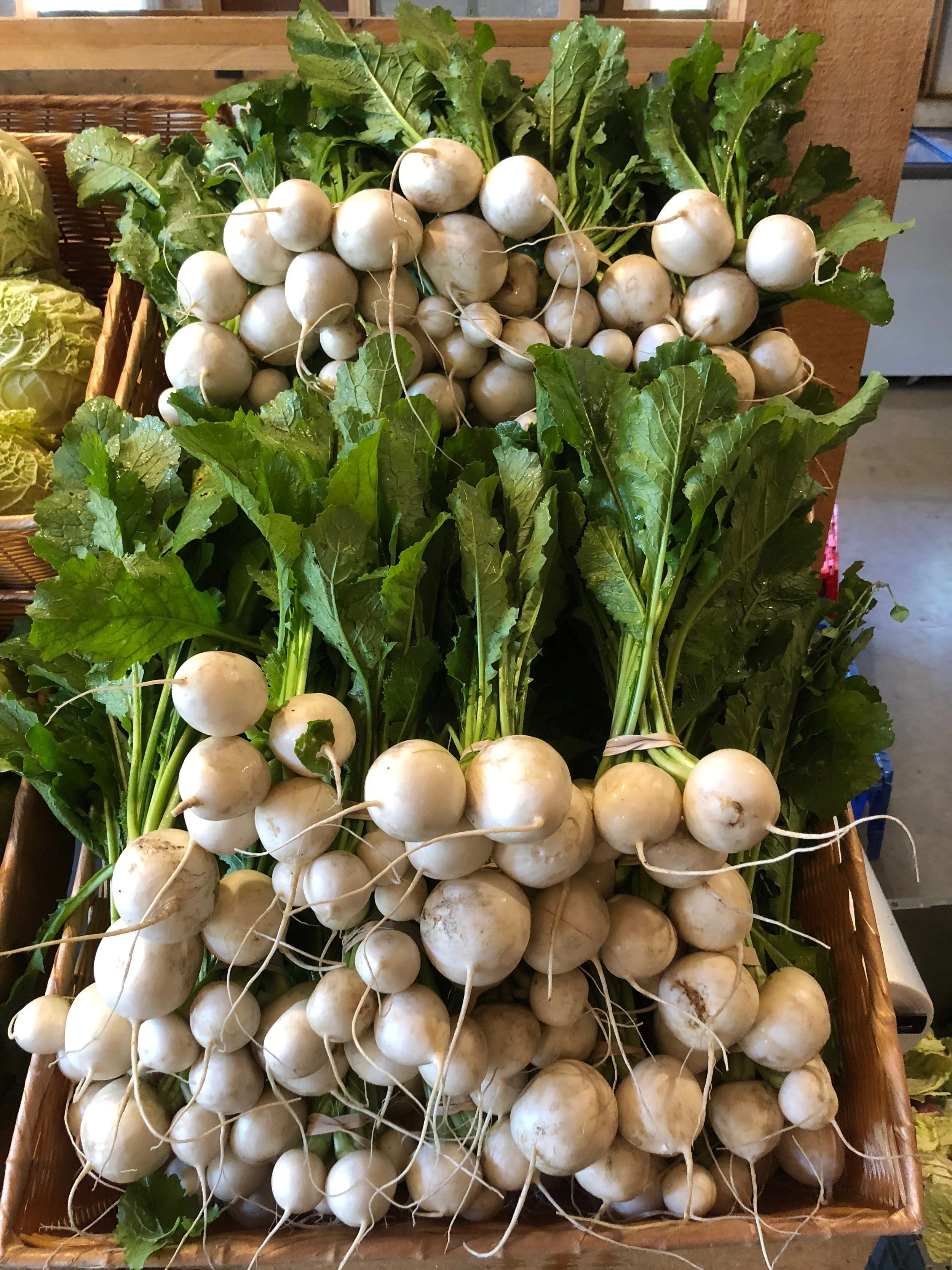 Produce - Turnips — Clark Farm