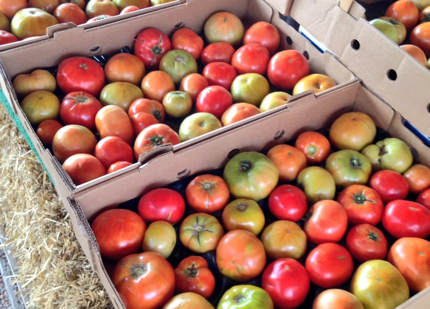 Munson Farms