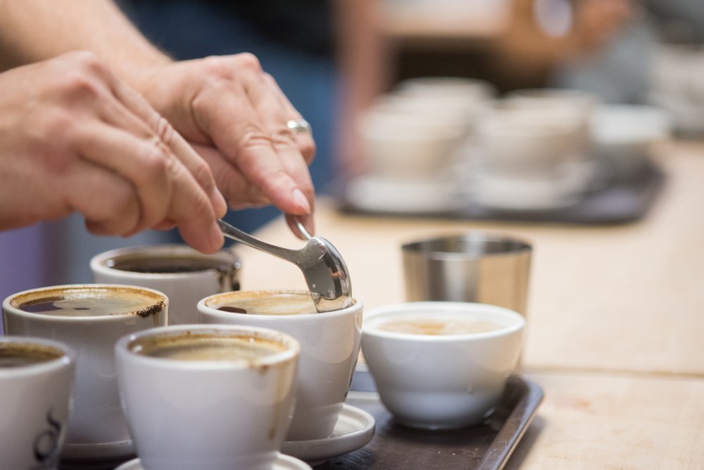 What is cupping? - How We Taste and Grade Coffee — Boomtown Coffee