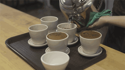 What is cupping? - How We Taste and Grade Coffee — Boomtown Coffee