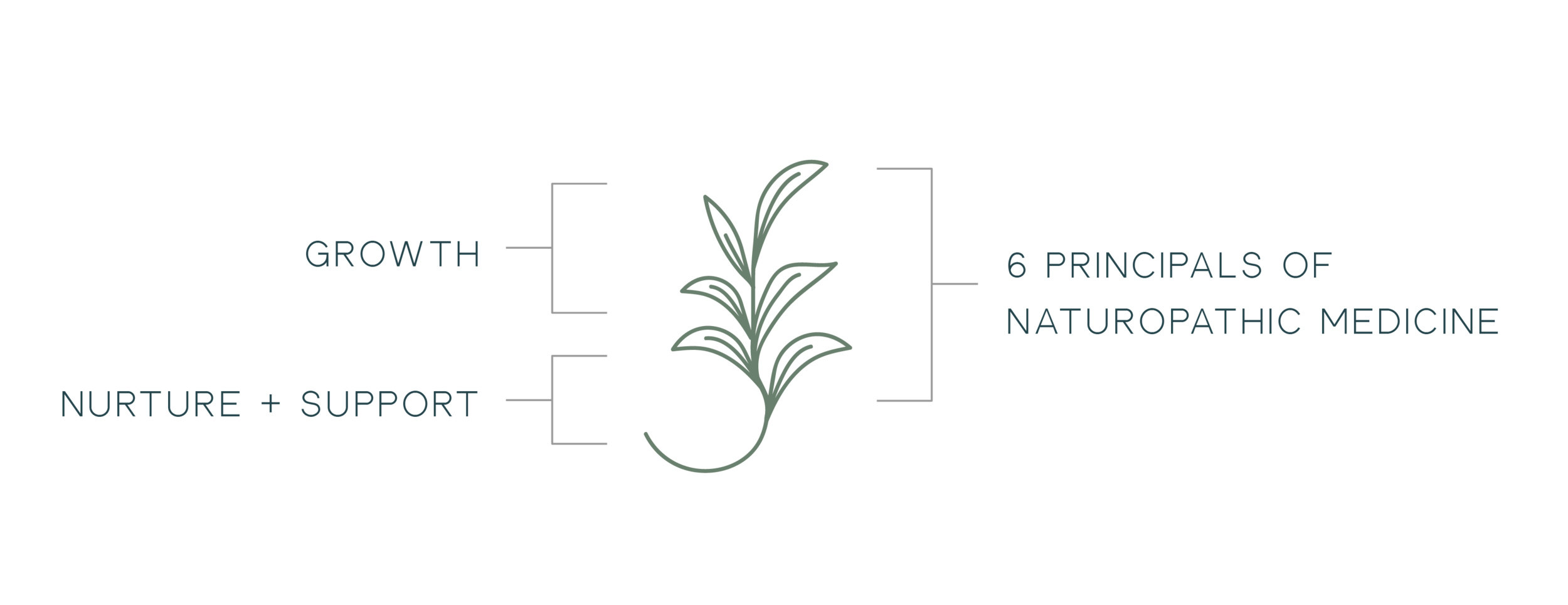 Meet Dr. Morris — Morris Natural Health