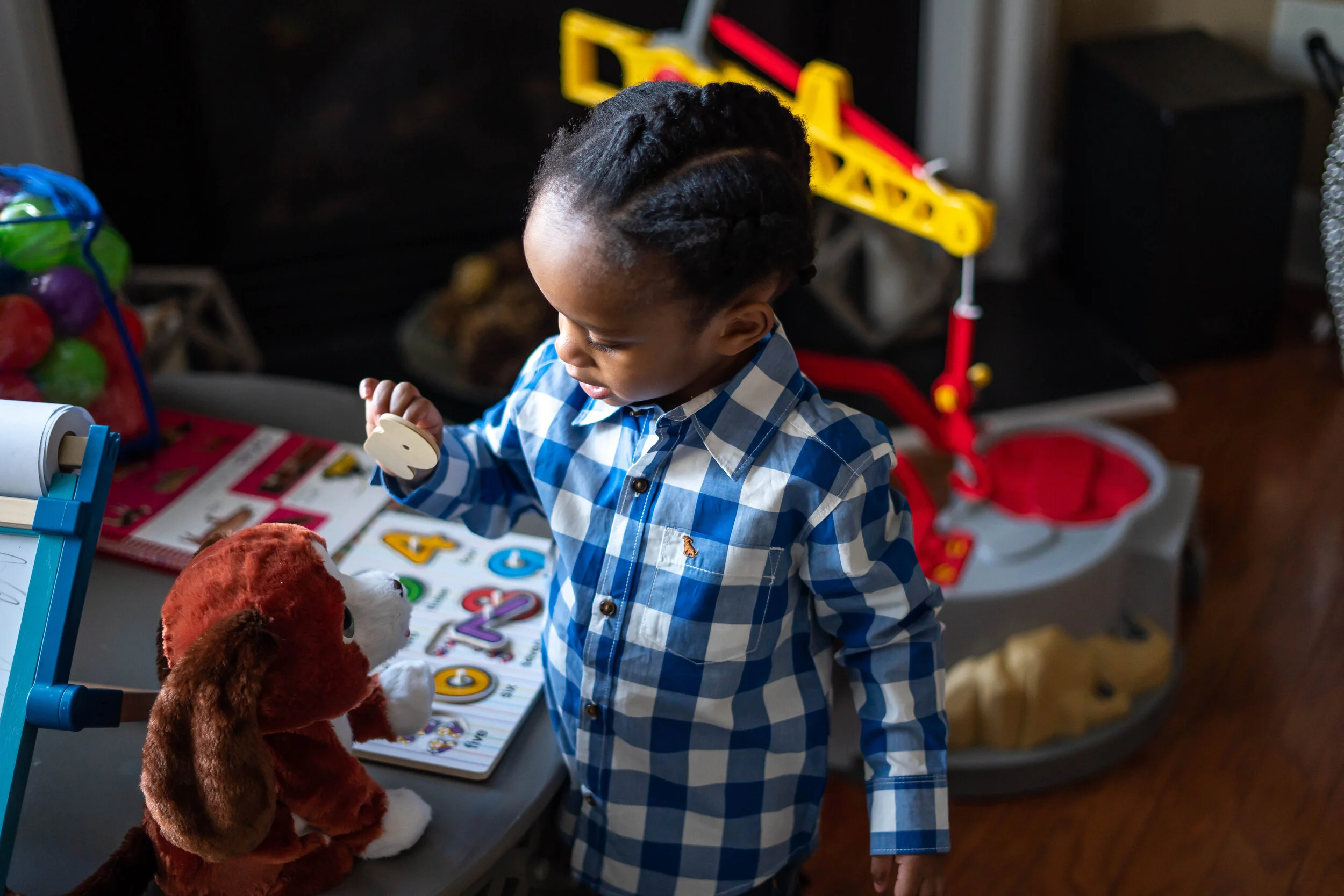 Activities for Spring Break with the Family — Our West Nest