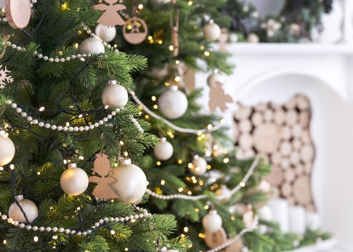 Costco Christmas Trees for the Holidays | Costco Live Christmas Trees ...