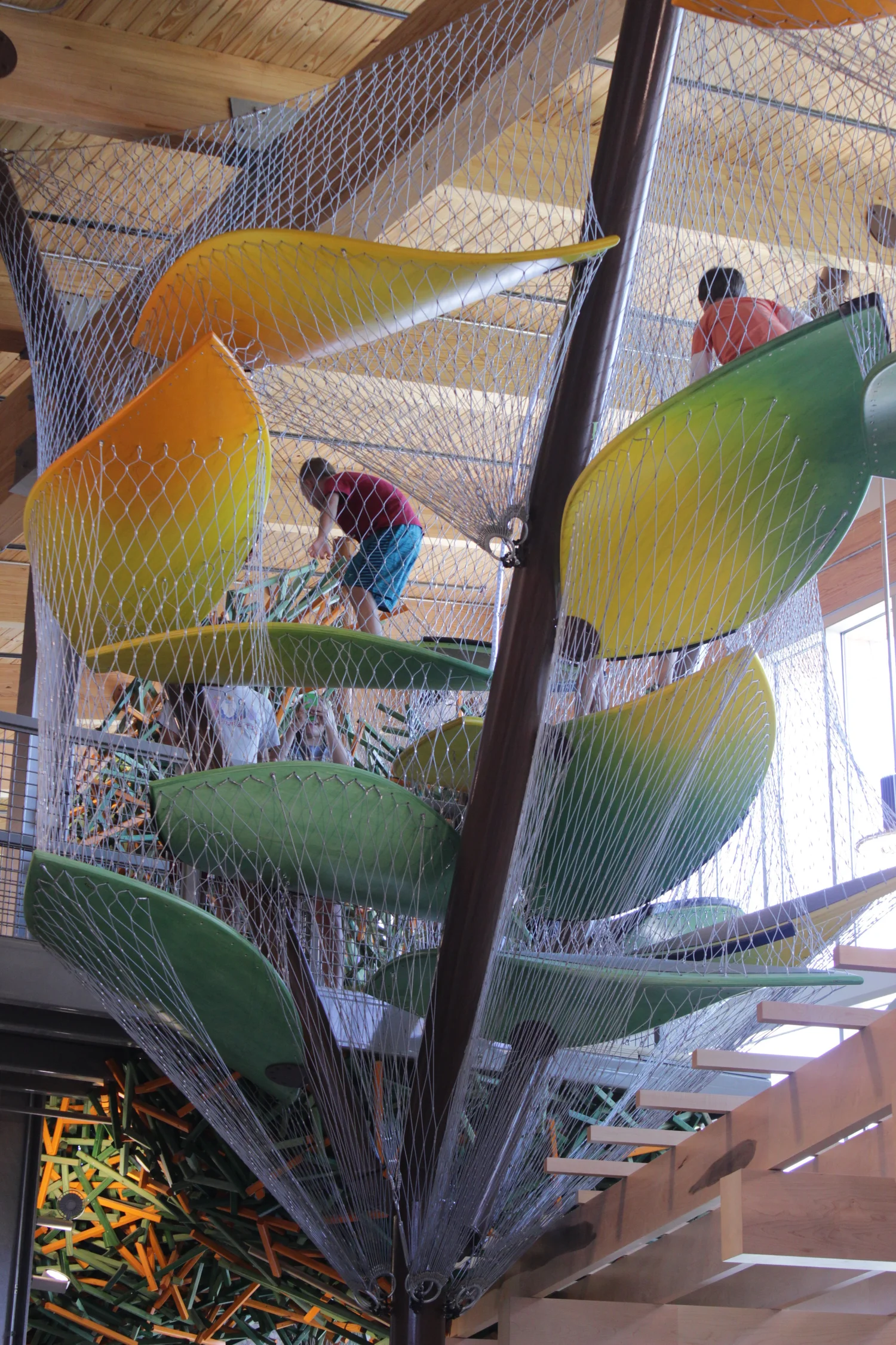 SCOTT FAMILY AMAZEUM — Luckey Climbers