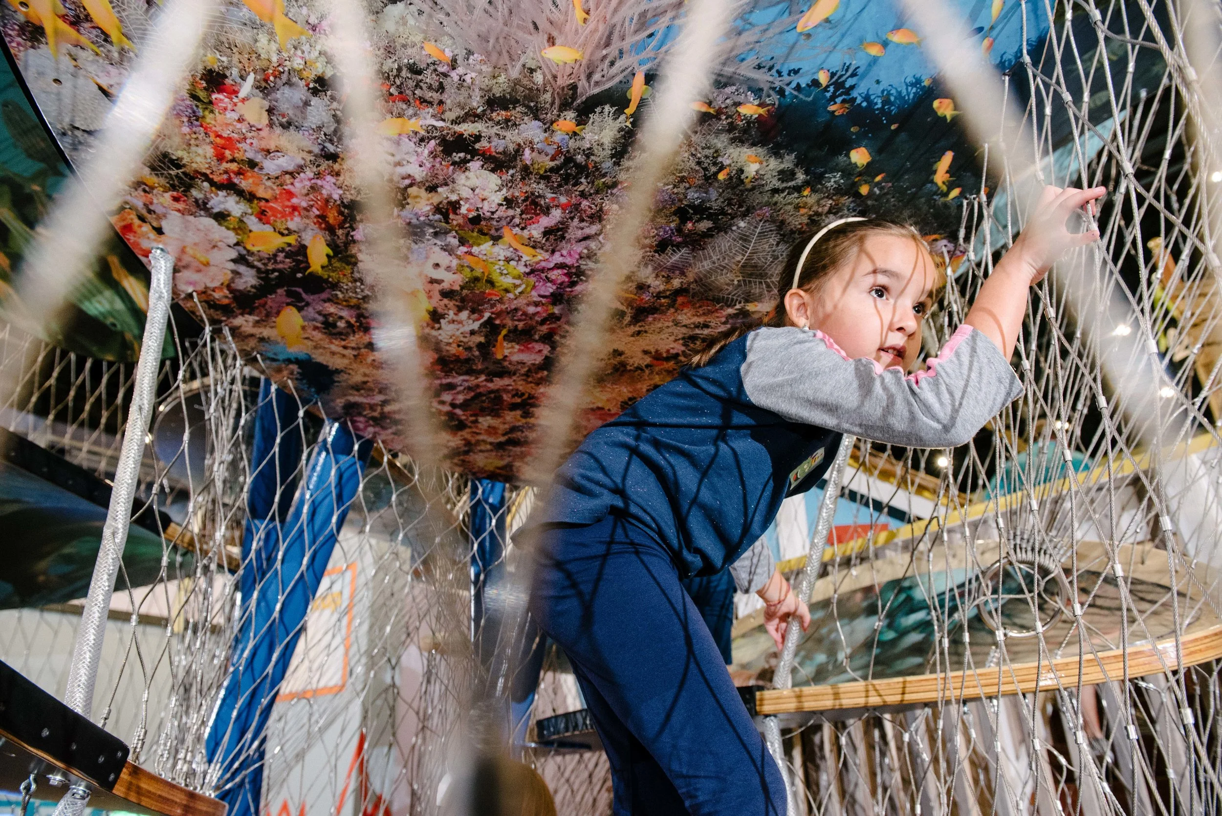 CLIMBER 101 — Luckey Climbers