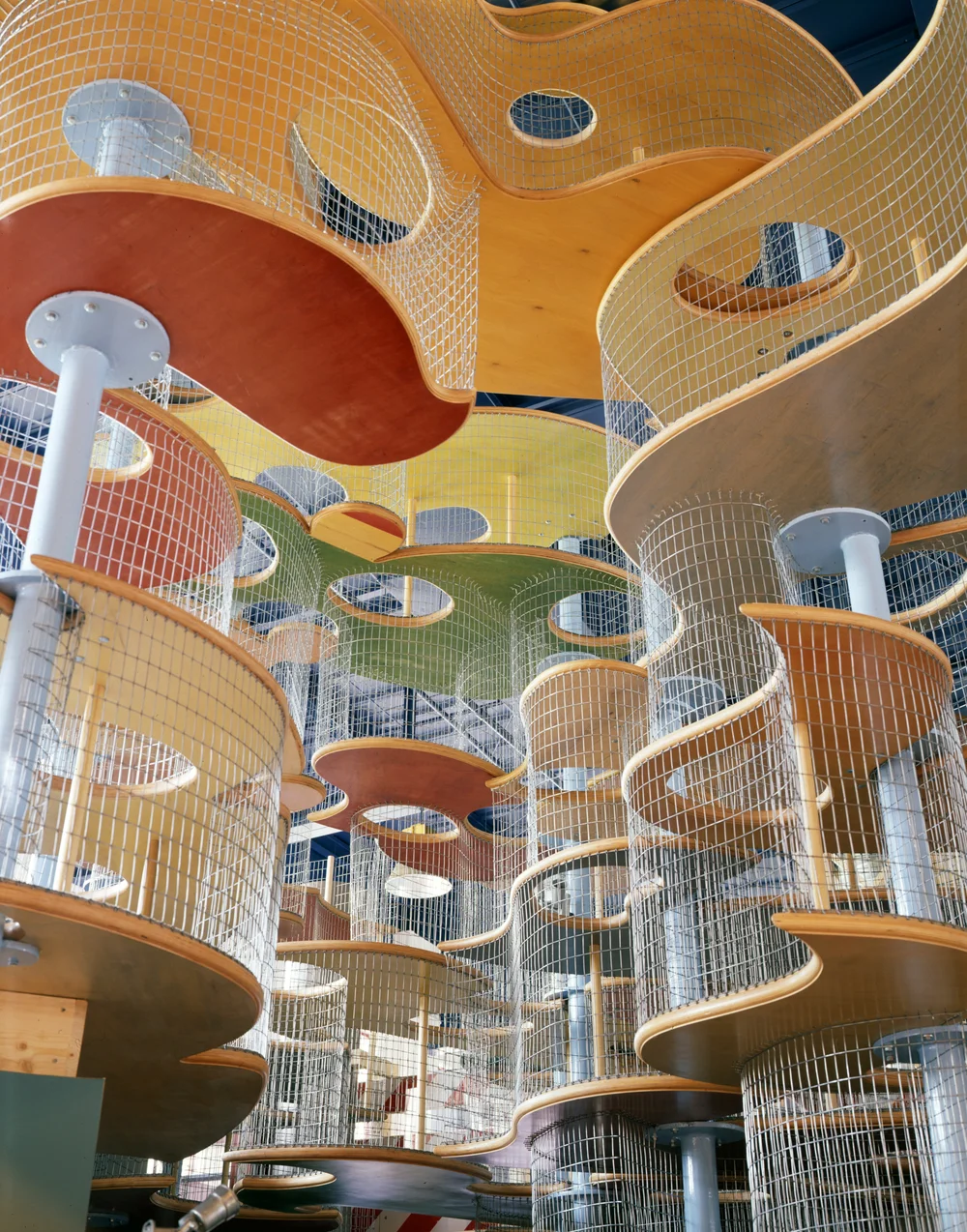 WE ARE KID ARCHITECTS — Luckey Climbers