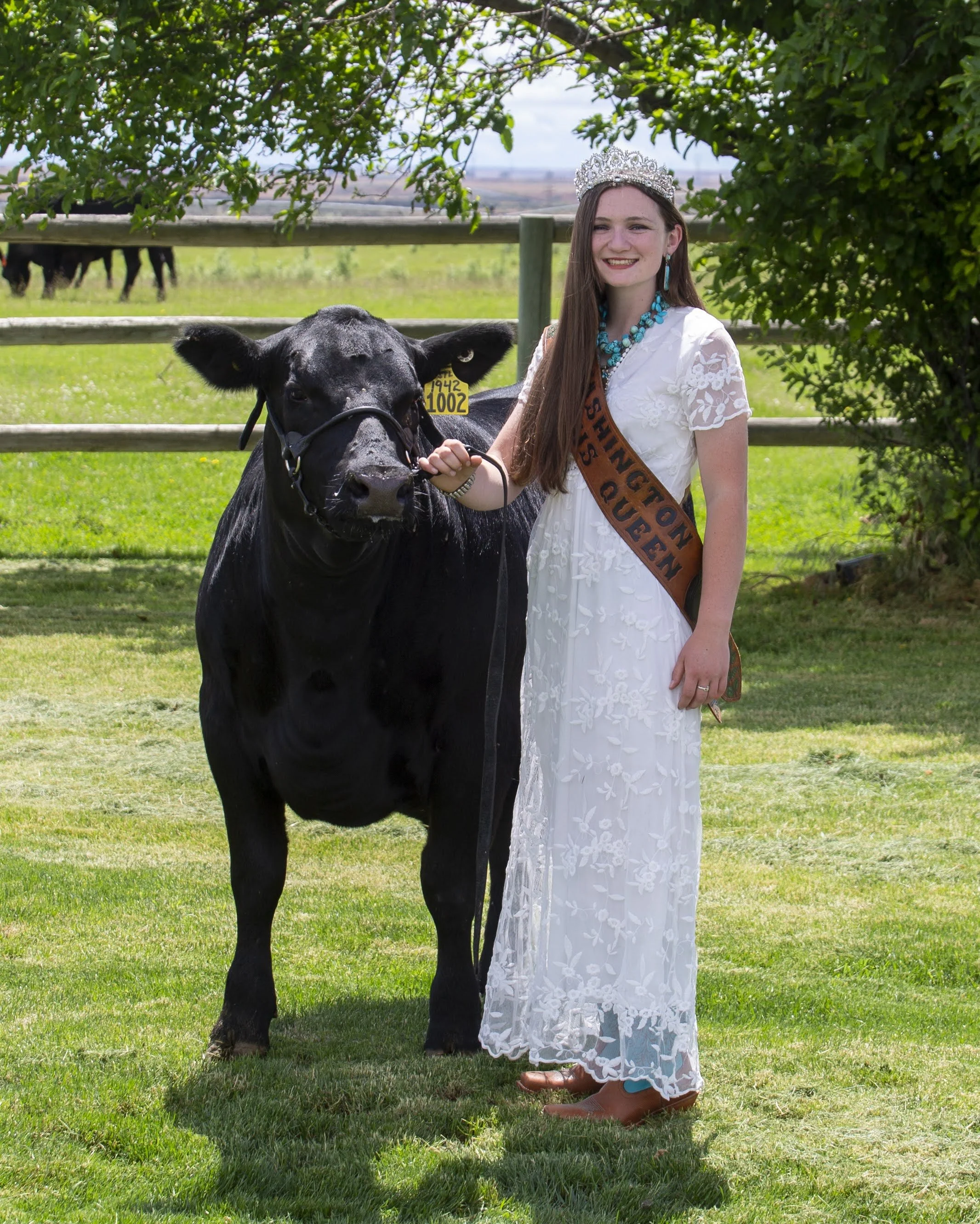 Juniors — Washington Angus Association