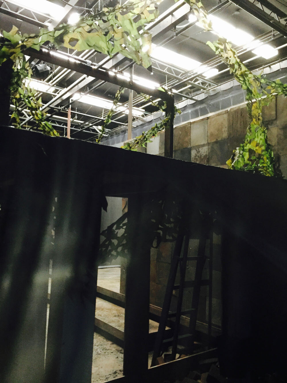 harlem school of the arts / scenic & backdrops — Blair Wear