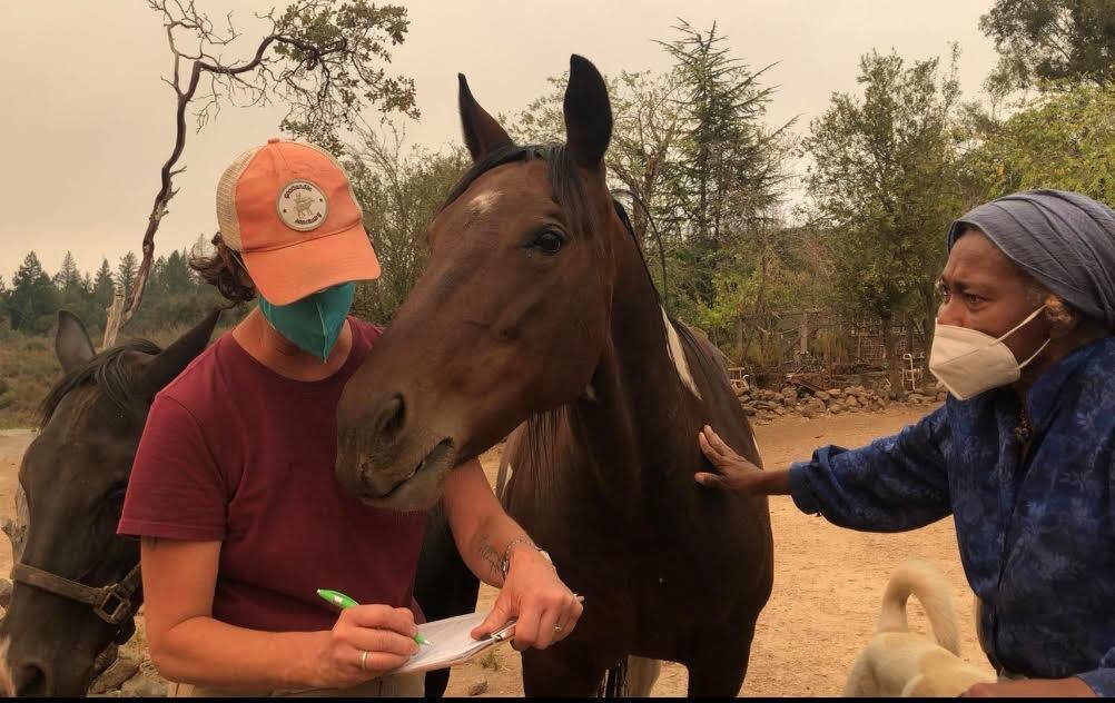 Returning Volunteers — Sonoma Community Animal Response Team
