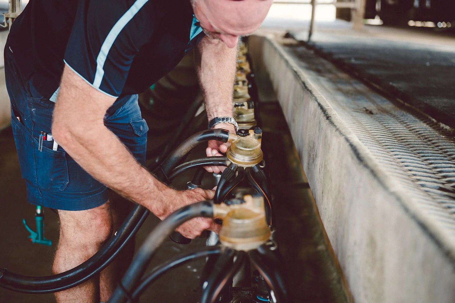 Russell & Sons | Dairy Engineers Pumping & Machinery Agents