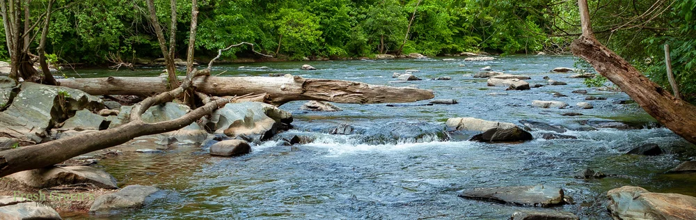 Downed trees and trickling falls, Gunpowder State Park MD [1000x316 ...