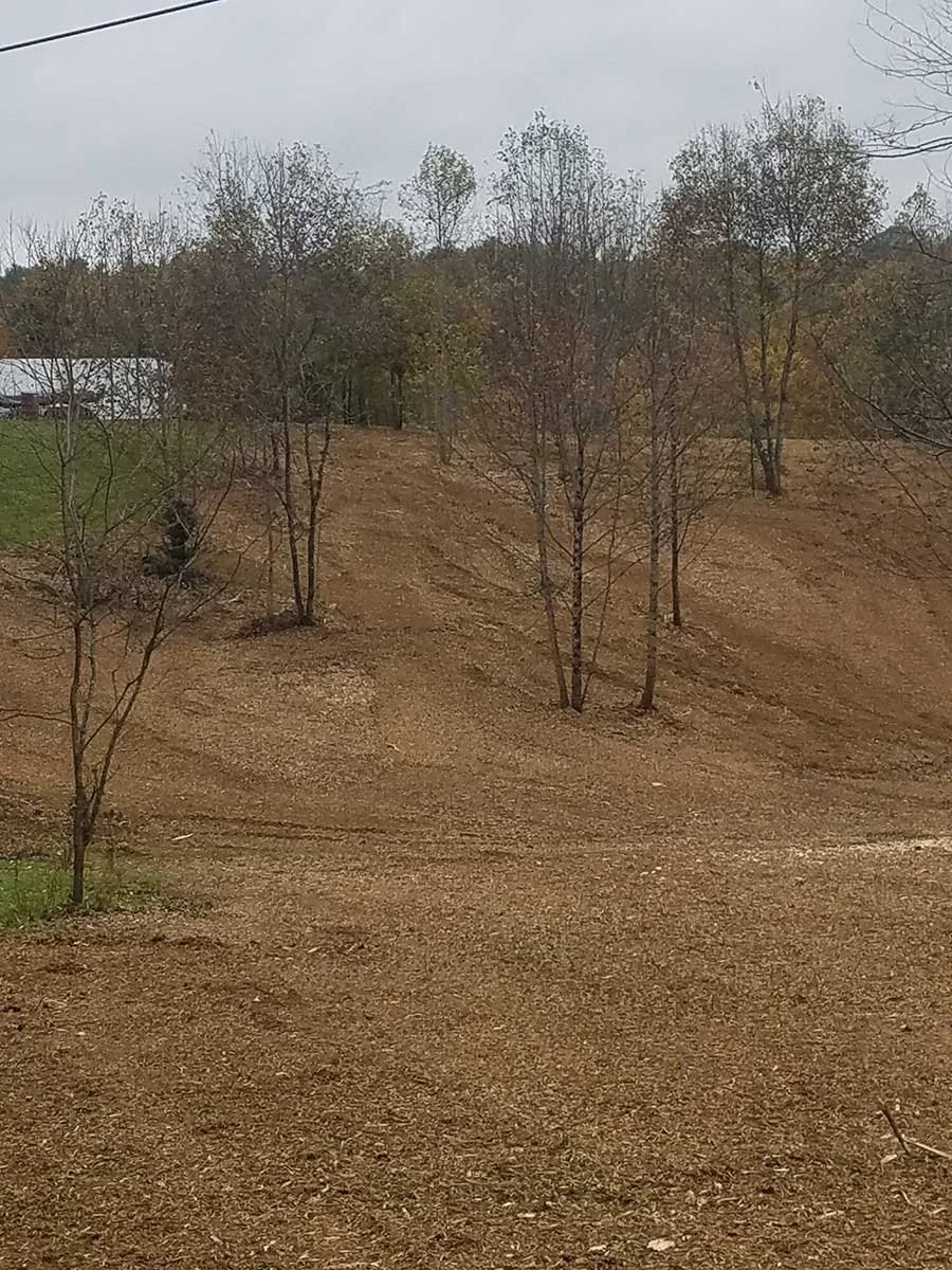 Forestry Mulching NC | Large Tracts & Commercial Site Prep