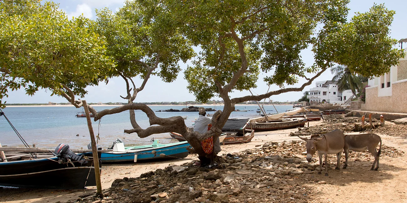 The Lamu Archipelago with Lamu Town being a UNESCO World Heritage Site ...