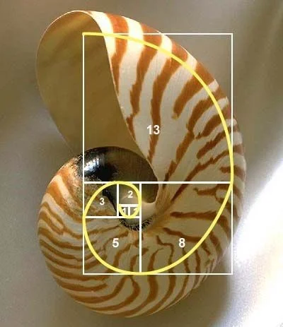 Golden Ratio Products