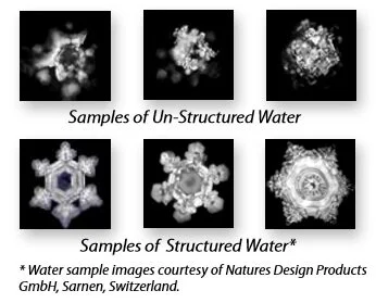 Structured Water - The Untold Story of Water — Golden Ratio Products
