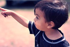 Why Does My Toddler Pull and Point but Not Talk? — My Toddler Talks