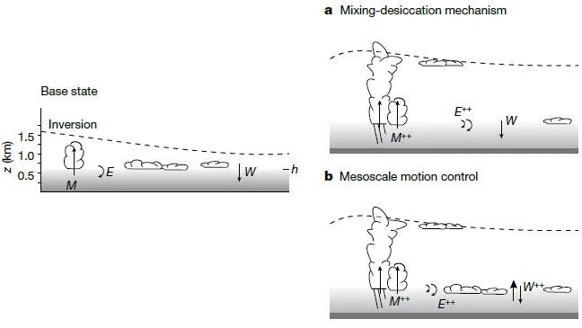 Science Under Attack