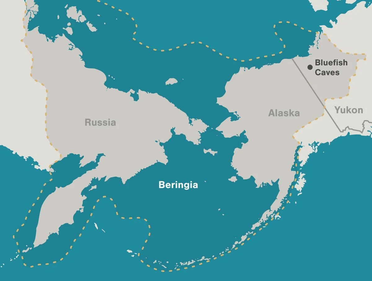 Science Under Attack