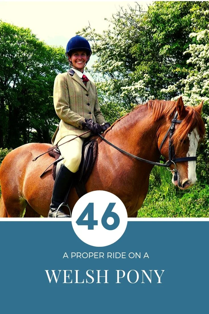 DiscoverTheHorse