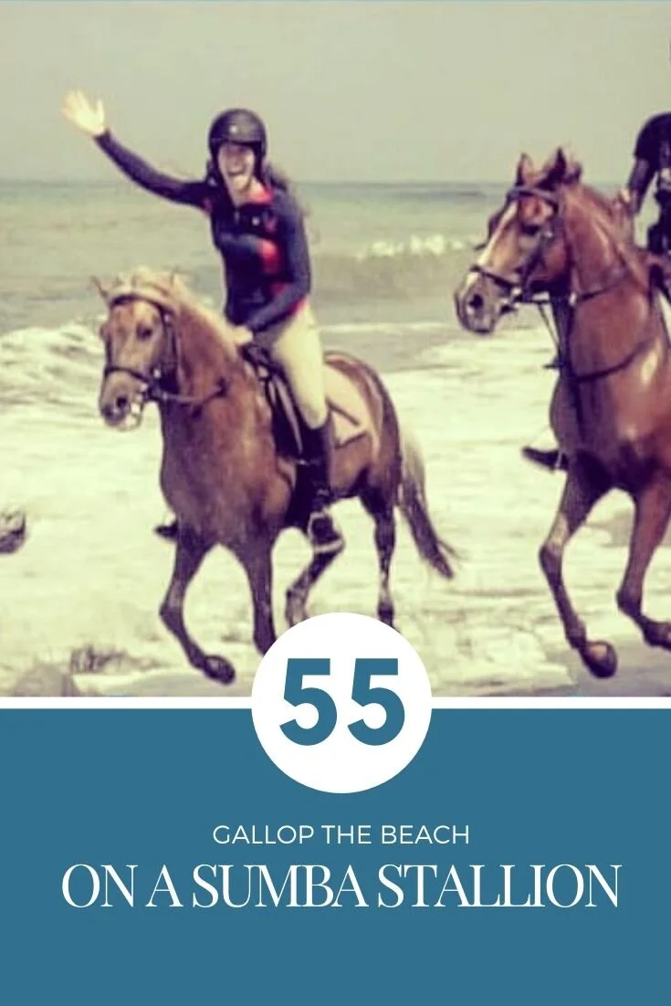 DiscoverTheHorse