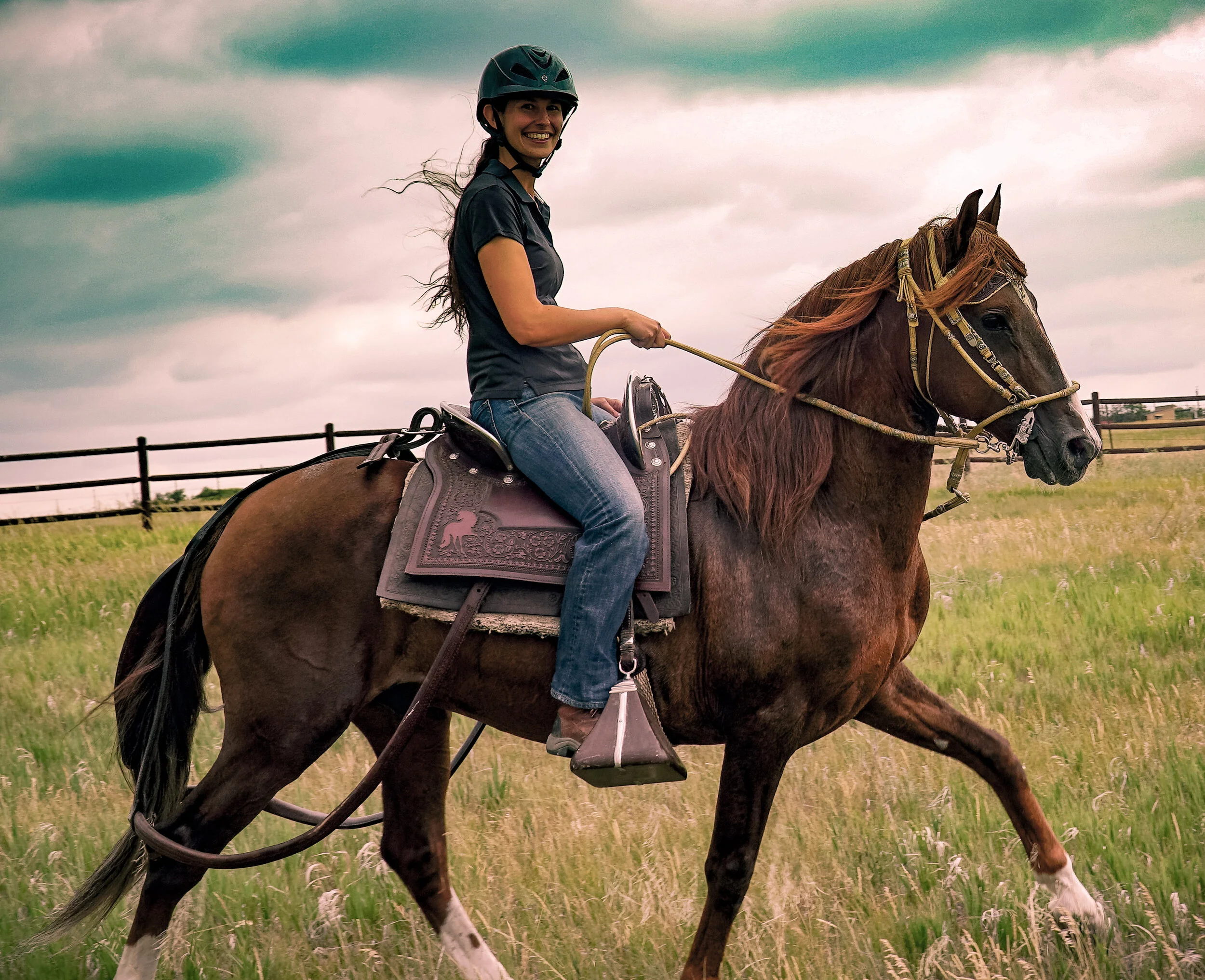 Peruvian Paso Horse
