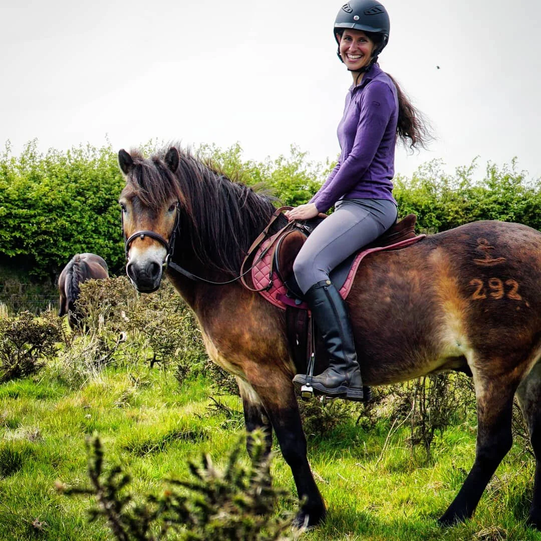 10 Fascinating Facts About the Exmoor Pony — DiscoverTheHorse