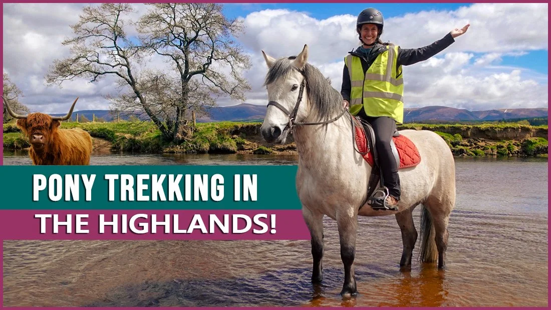 Riding the British Riding Pony in England — DiscoverTheHorse
