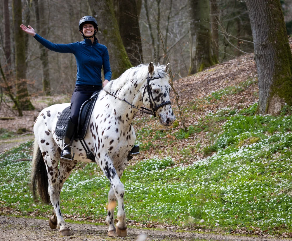Riding the Knabstrupper — DiscoverTheHorse