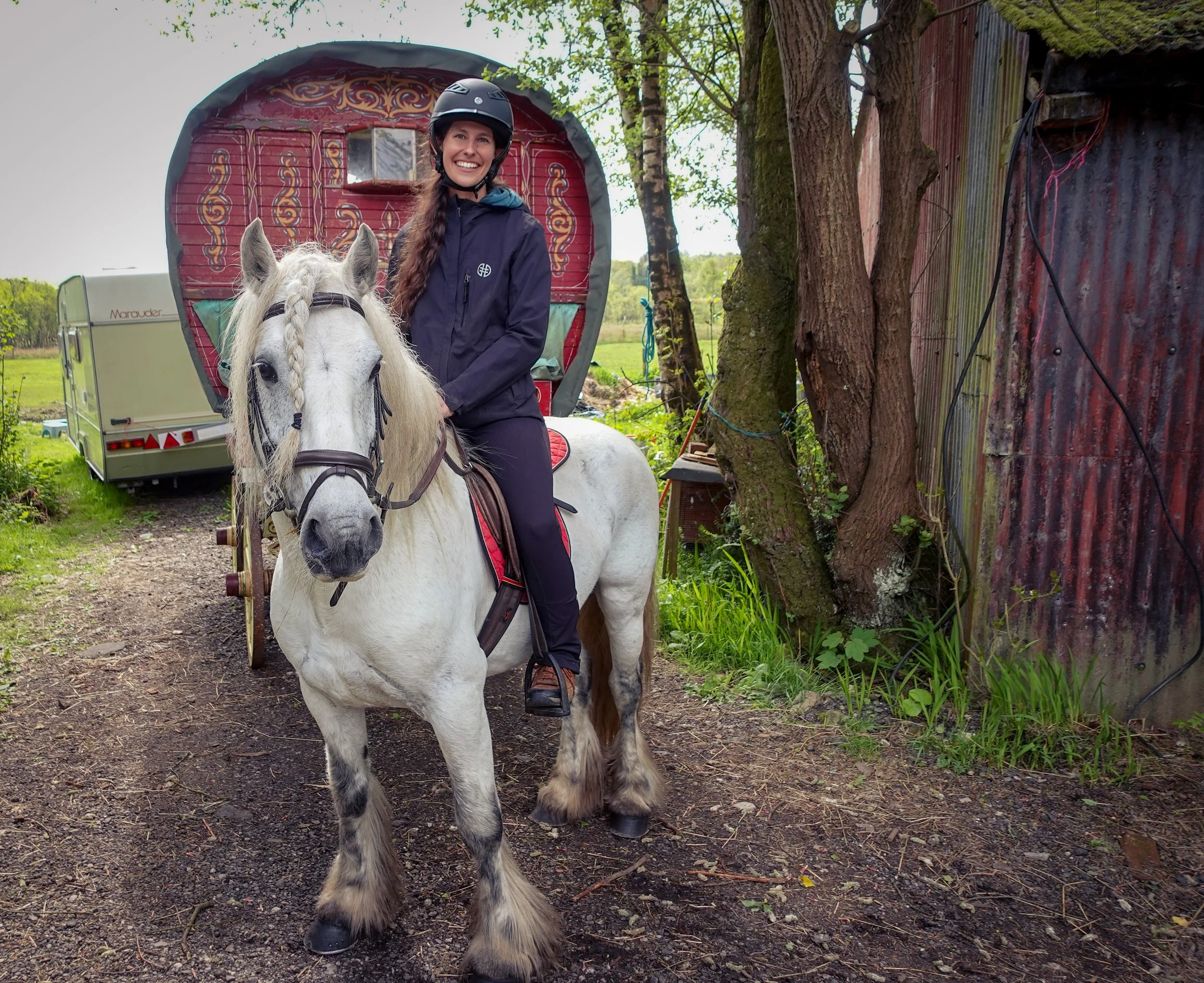 Riding the Fell Pony — DiscoverTheHorse