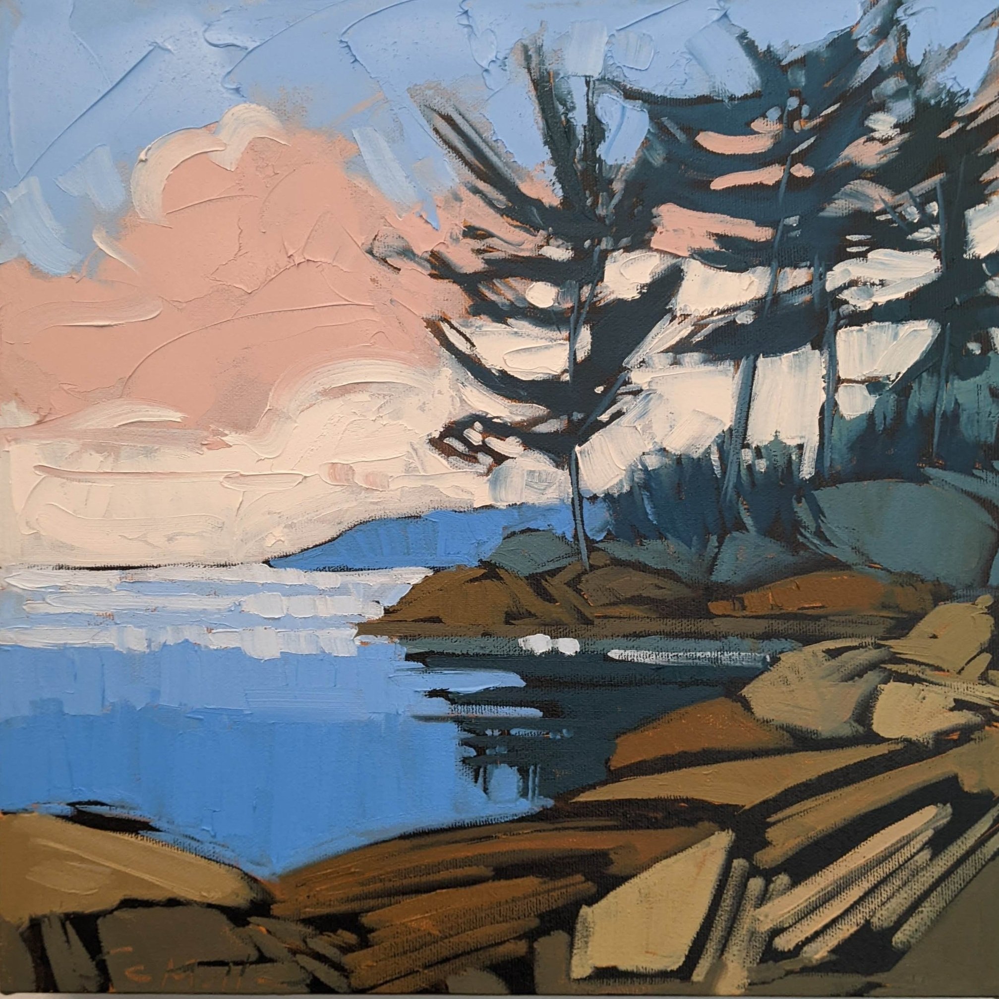 Shop The Studio — Sara Alex Mullen