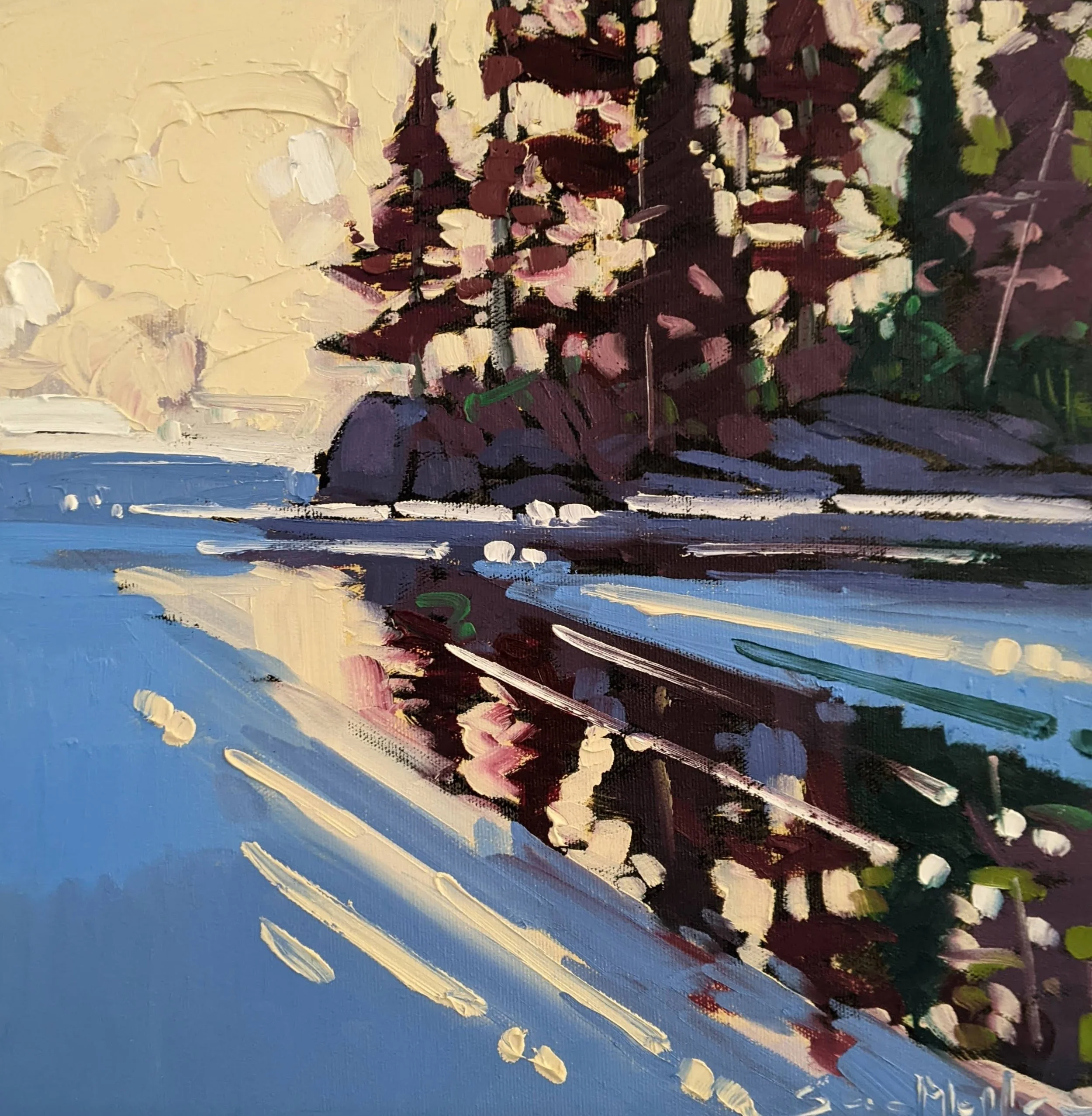 Shop The Studio — Sara Alex Mullen