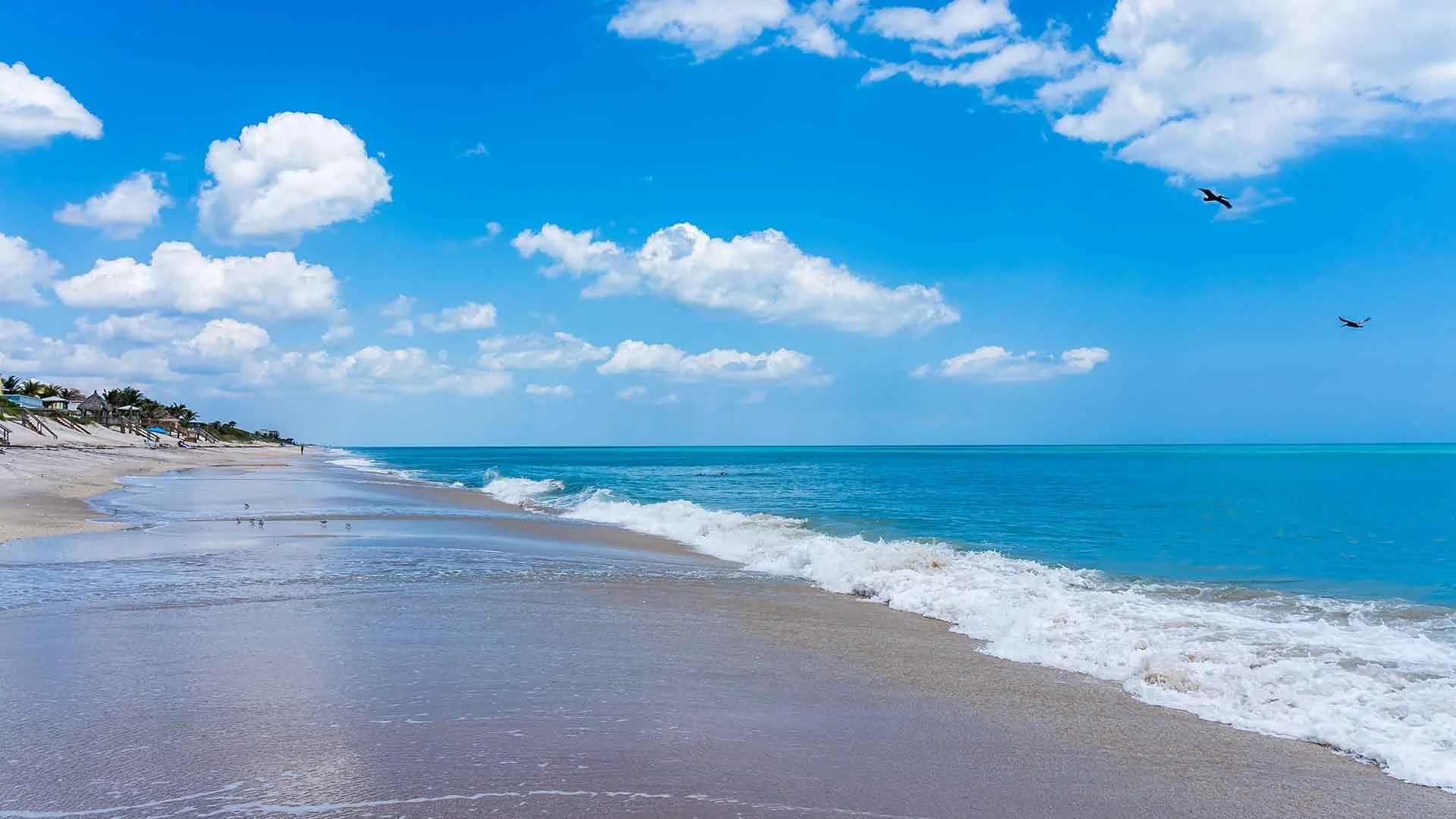 Michelle Mooy — Robert Slack