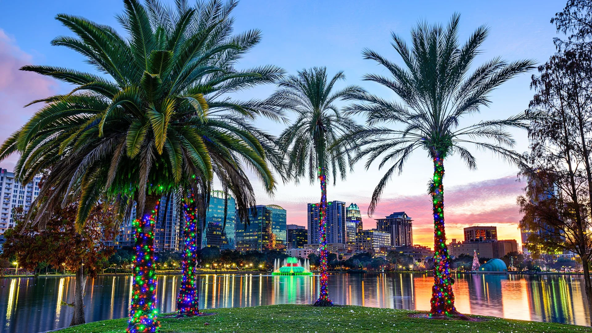 Samya Azizi — Robert Slack