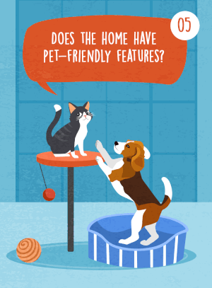Expert Questions to Ask When House Hunting with Pets in Mind | The ...