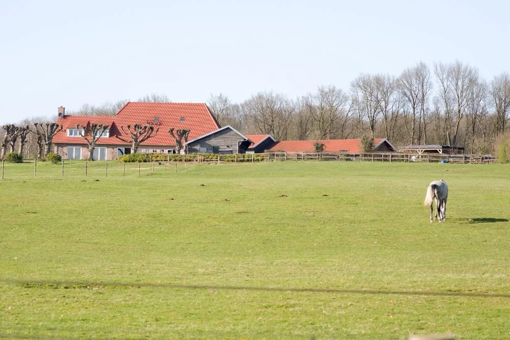 4 Ways to Target Your Property Listing to Horse Owners | The Listing ...