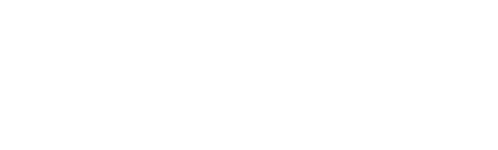Shark Hotel — MALONEY HOTELS