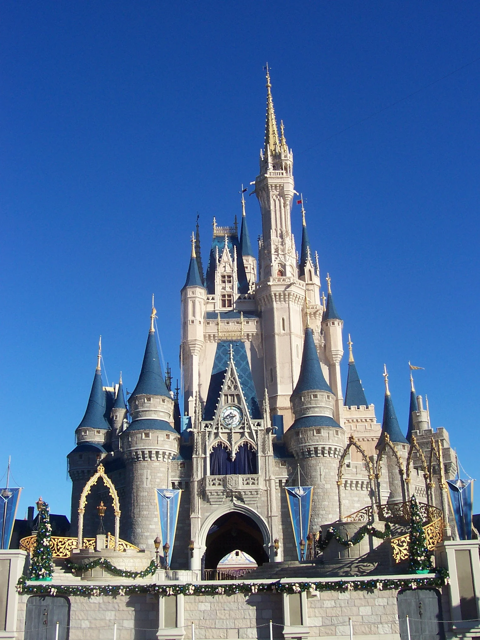 Contact — Be Our Guest Tours