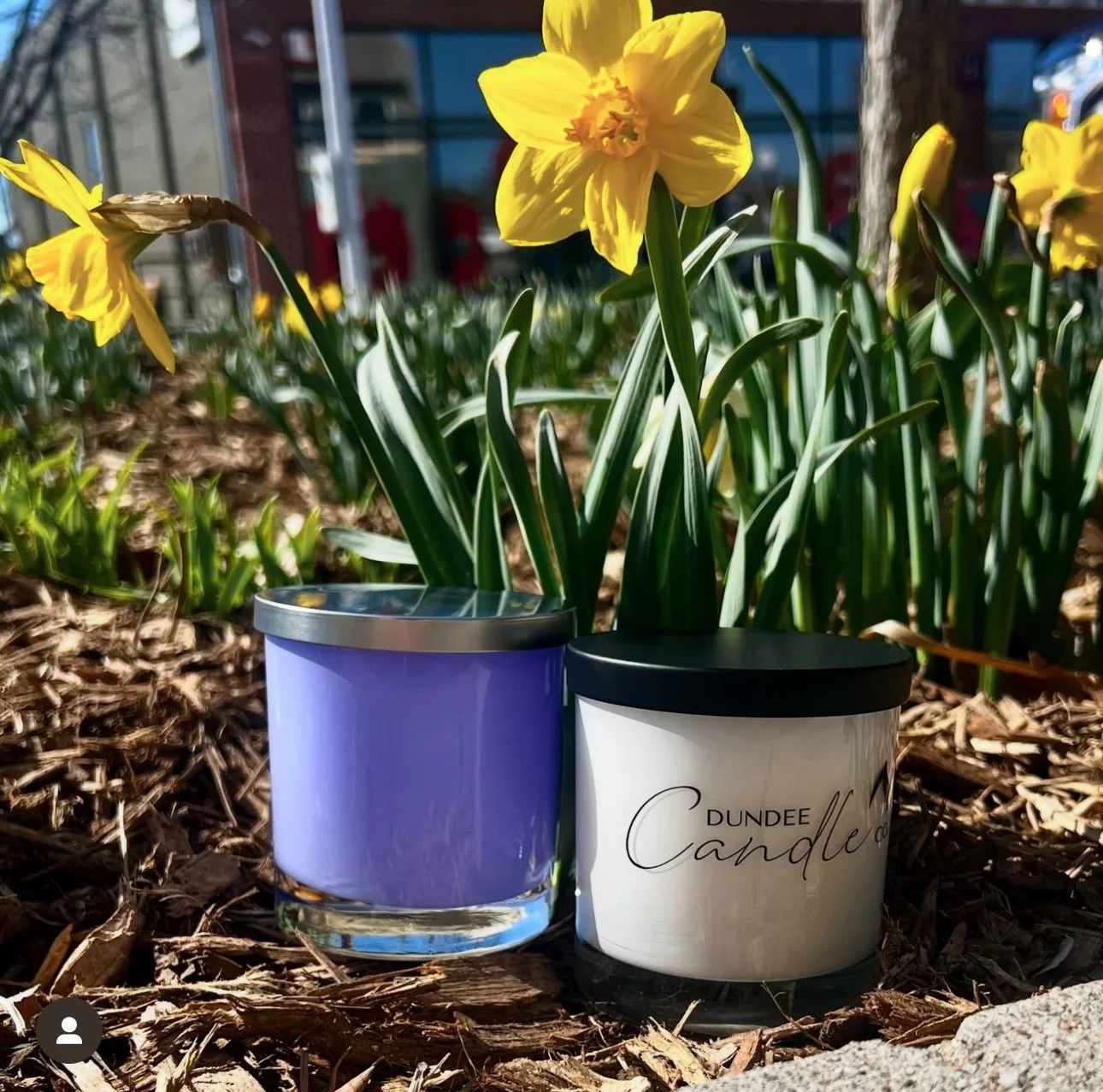 Events — Dundee Merchants