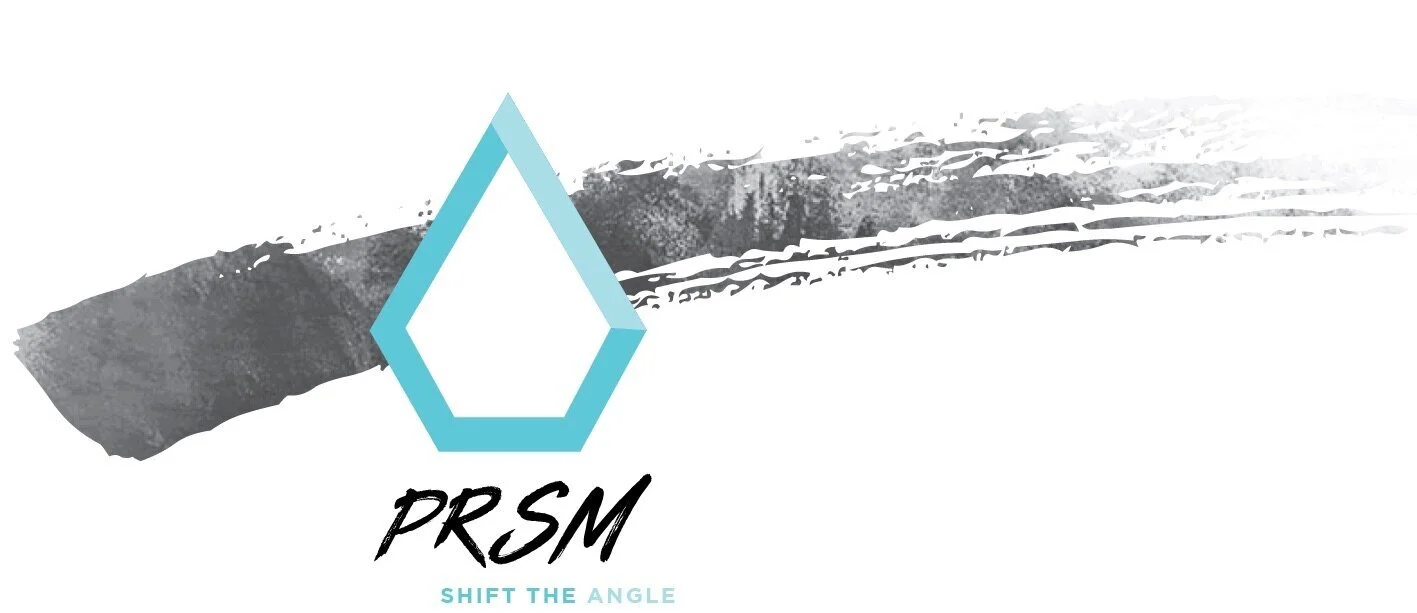 Some more about Us — PRSM