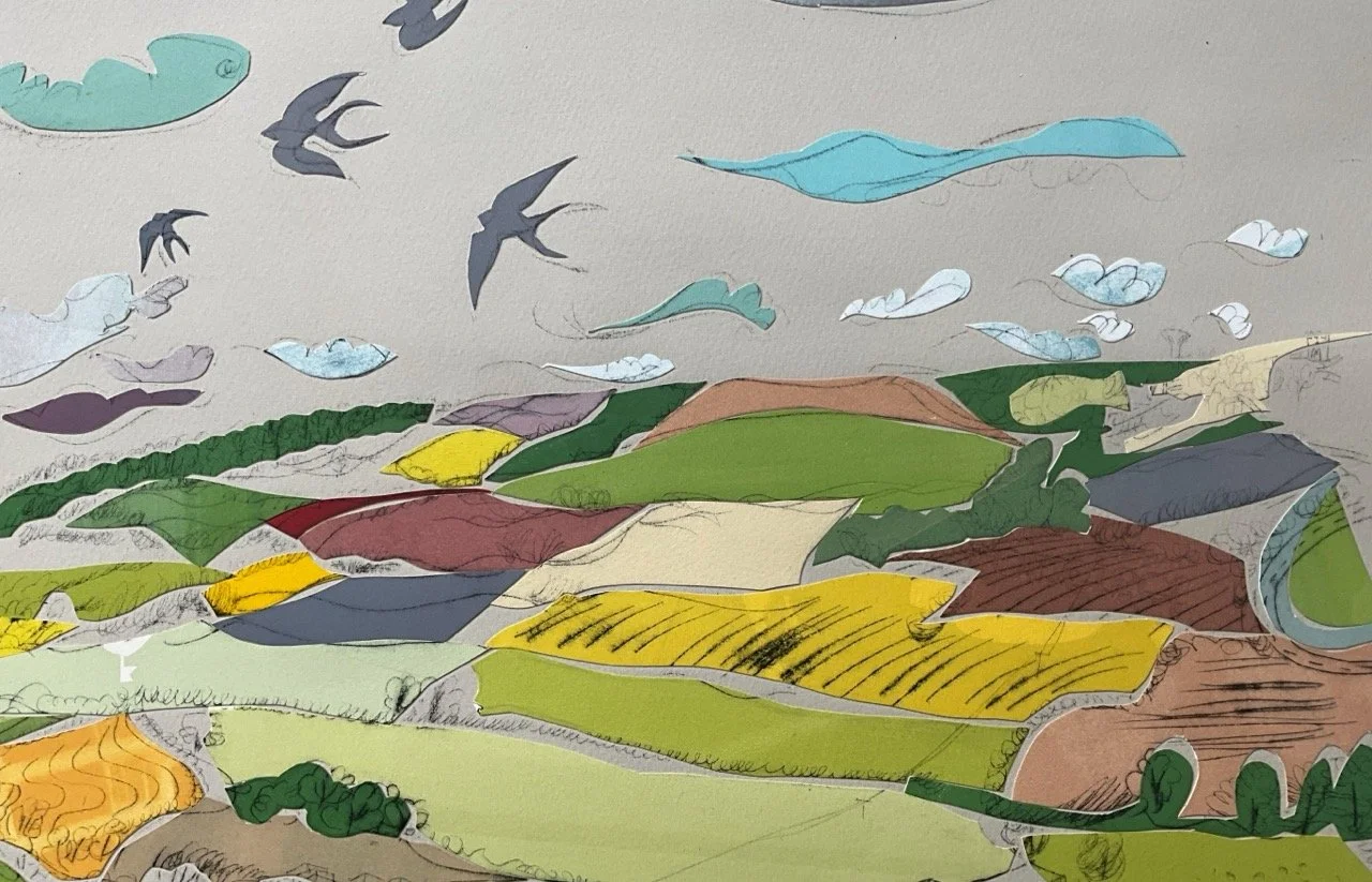 Shop — Susie Brooks