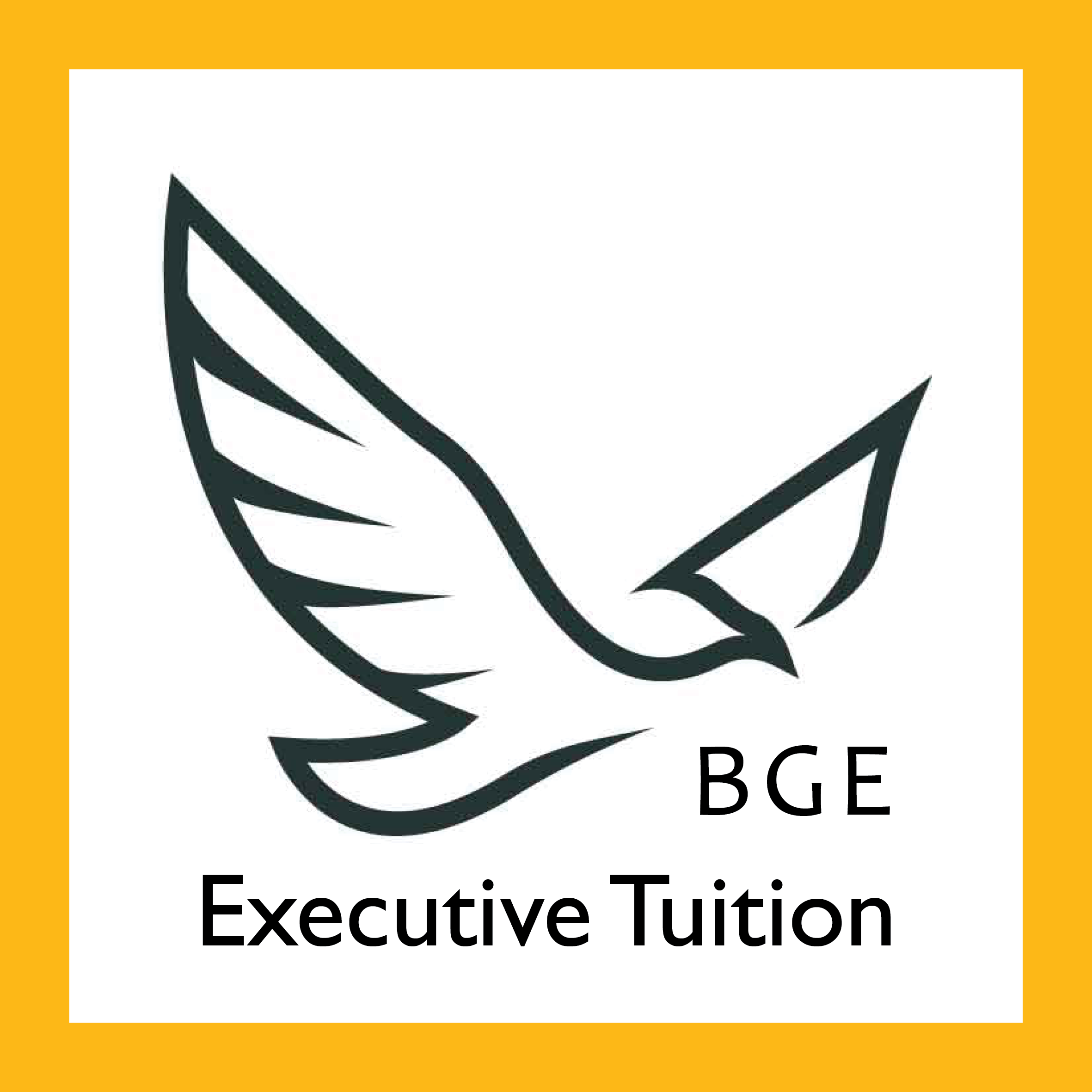 Buckswood Global Education Group