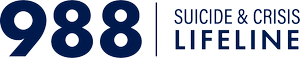 988 — BH Link