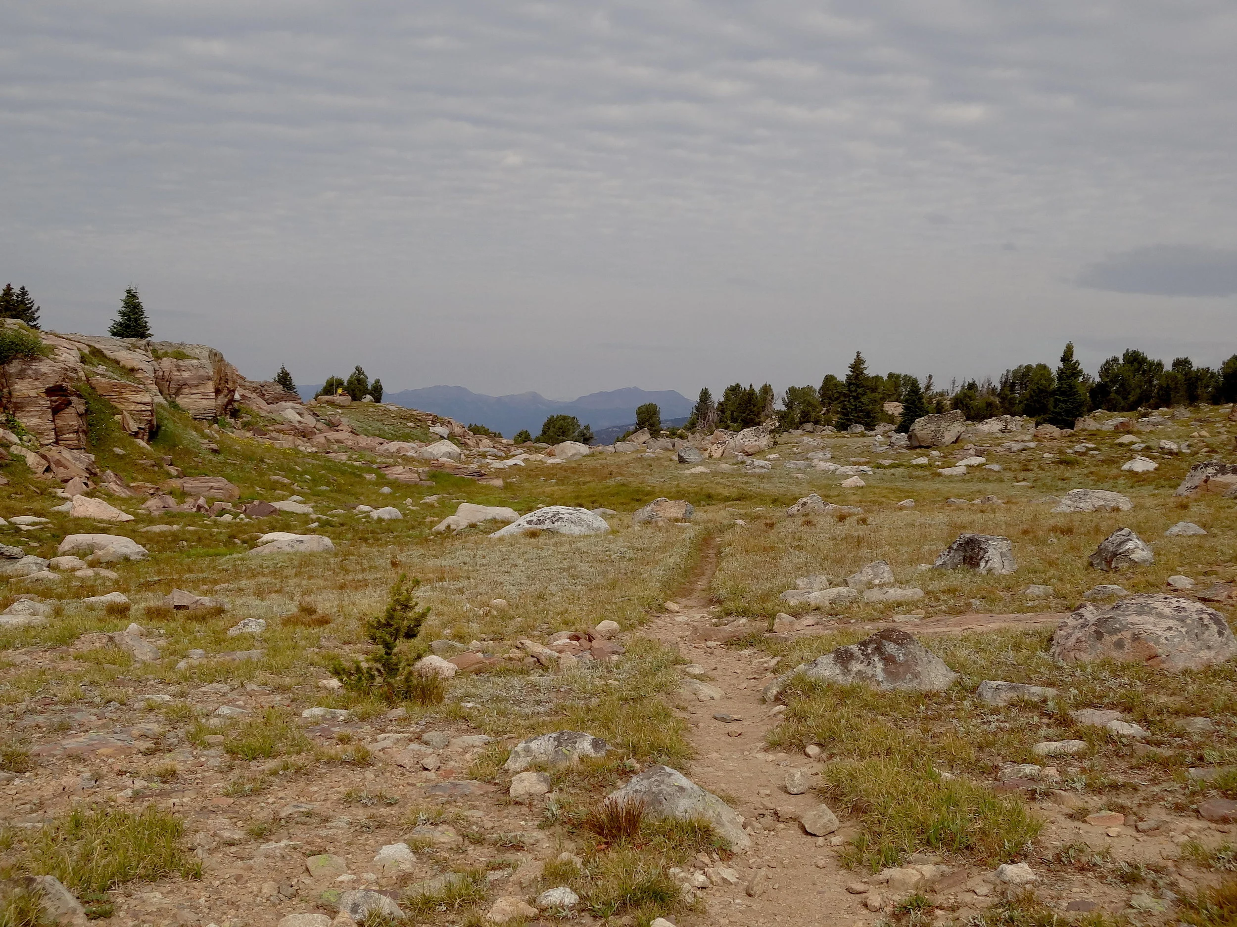 Backpacking — John Fetty-Lovell