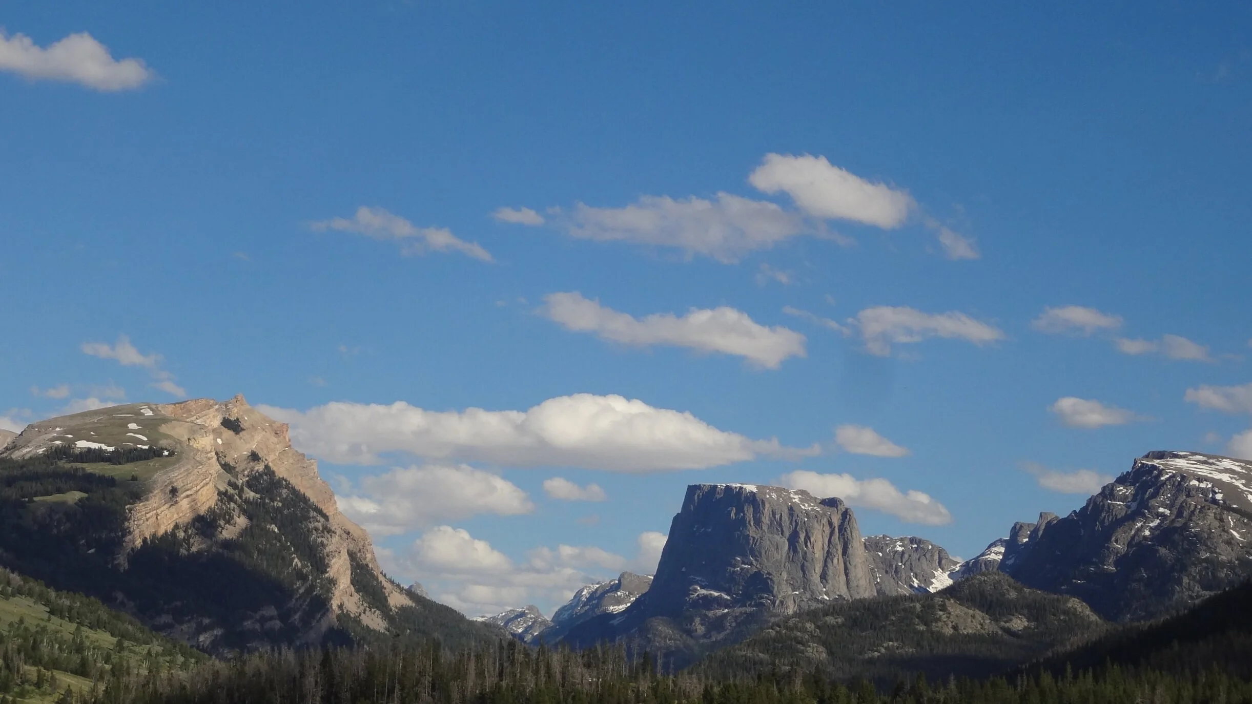 Bio 1610 Fall 2020 — John Fetty-Lovell