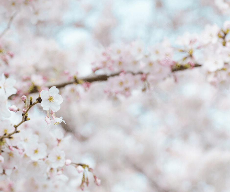 You Were Created to Do Good Things