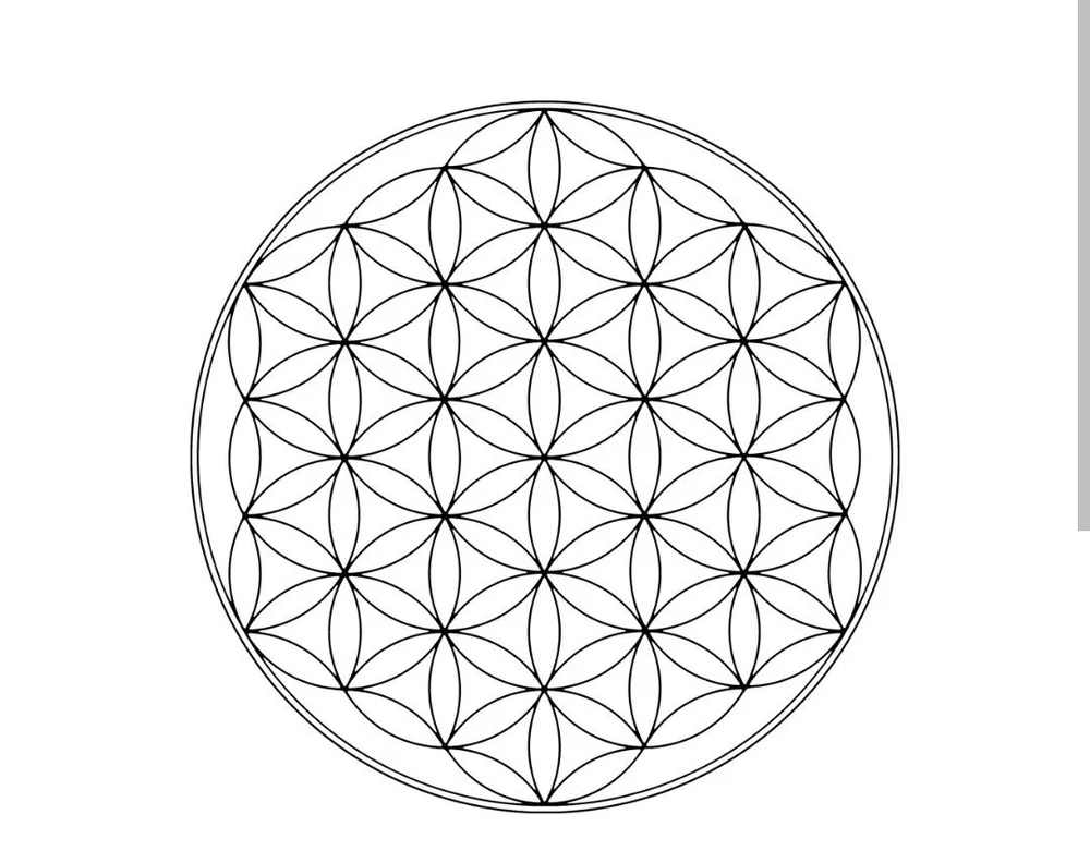 The Flower of Life and the Secrets it holds to Life | INCENTRE — INCENTRE