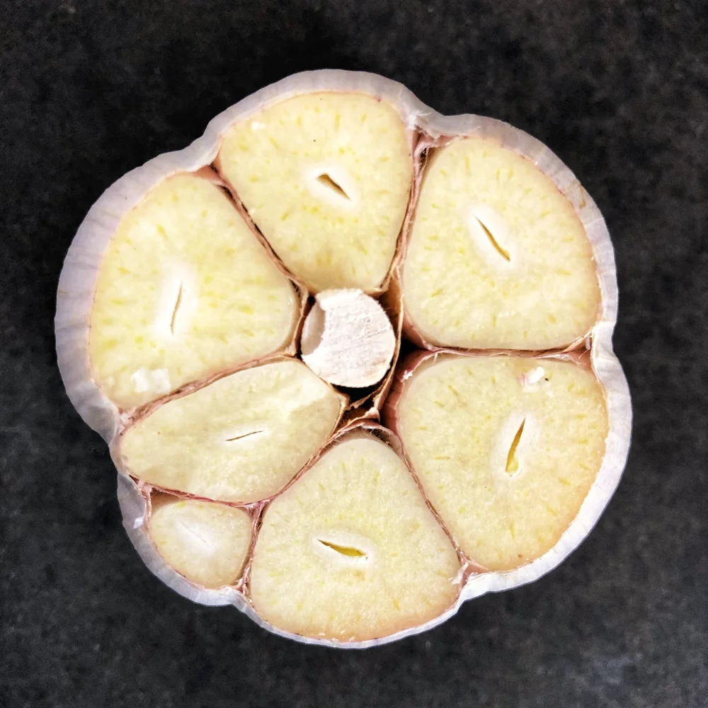 Our Garlic — Orie's Farm Fresh